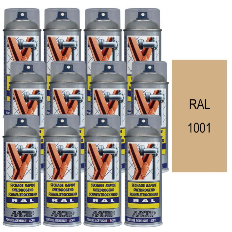 Lot de 12 Peintures aérosol RAL 7016 Gris anthracite brillant 400ml ...