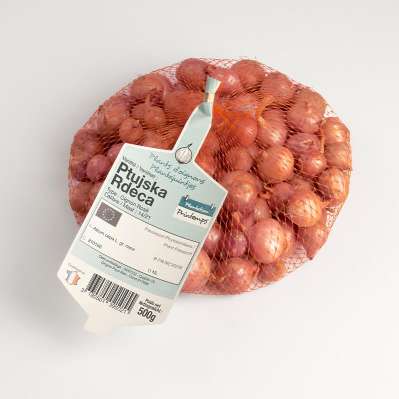 Ptujska Rdeca (rose) Bulbes d'Oignons a repiquer 500gr | Leroy Merlin