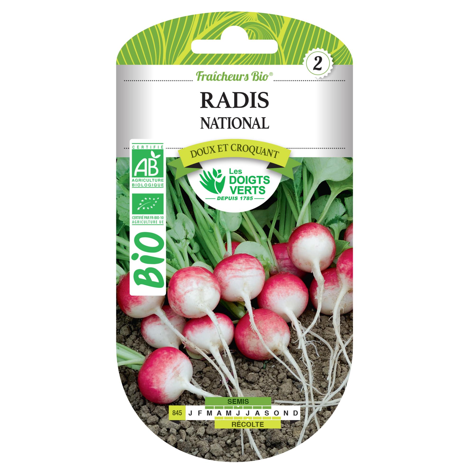 Graines de radis national BIO Les Doigts Verts | Leroy Merlin