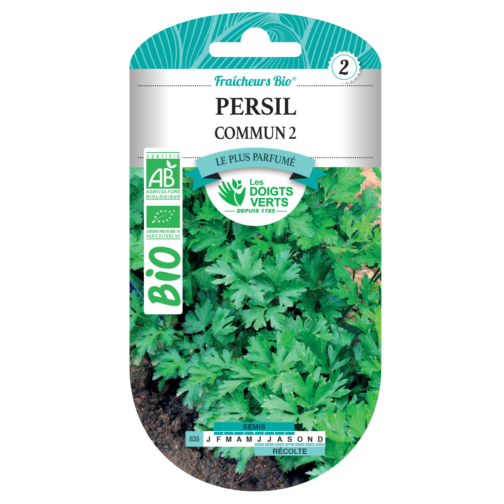 Graines de persil commun 2 BIO Les Doigts Verts | Leroy Merlin