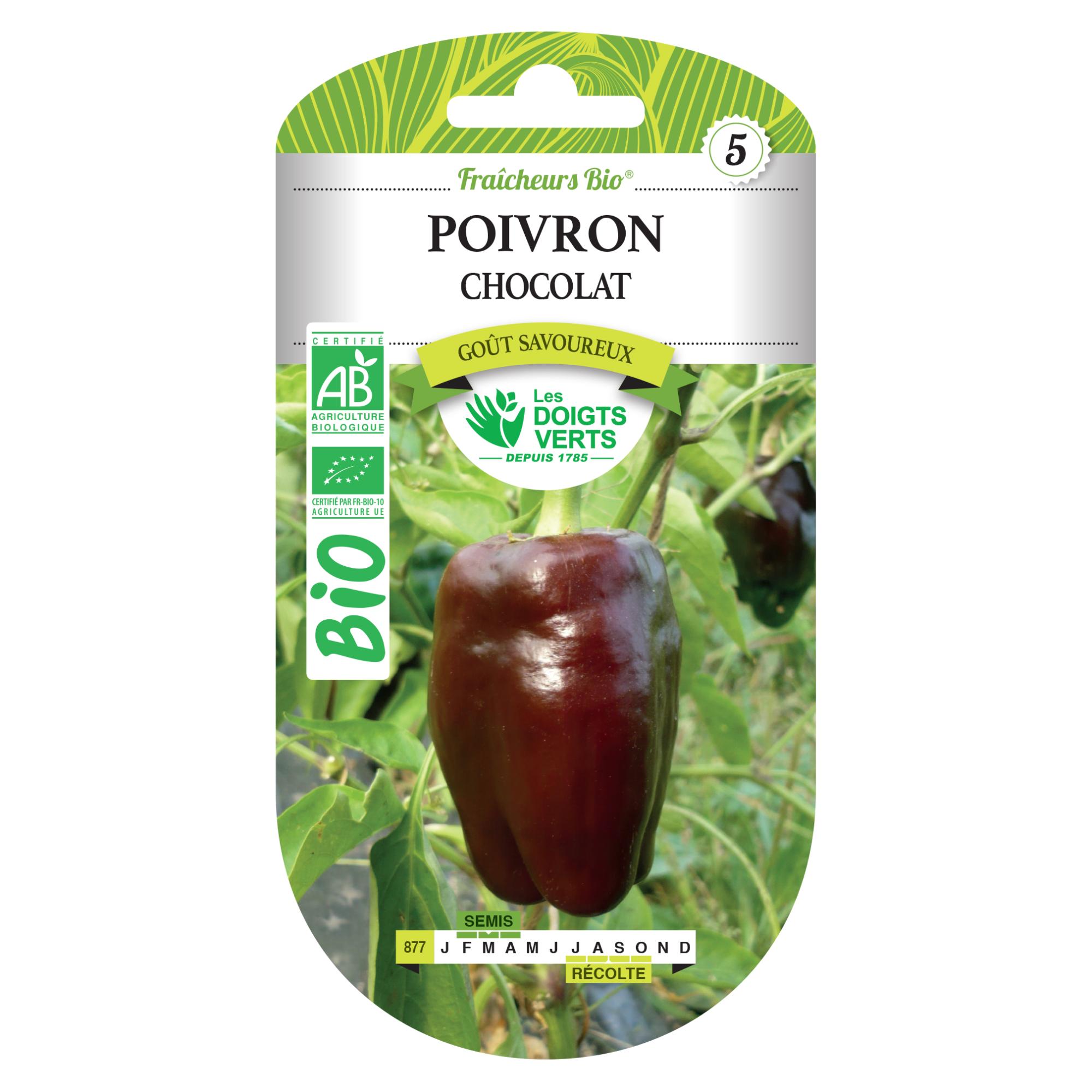 Graines poivron chocolat BIO Les Doigts Verts | Leroy Merlin
