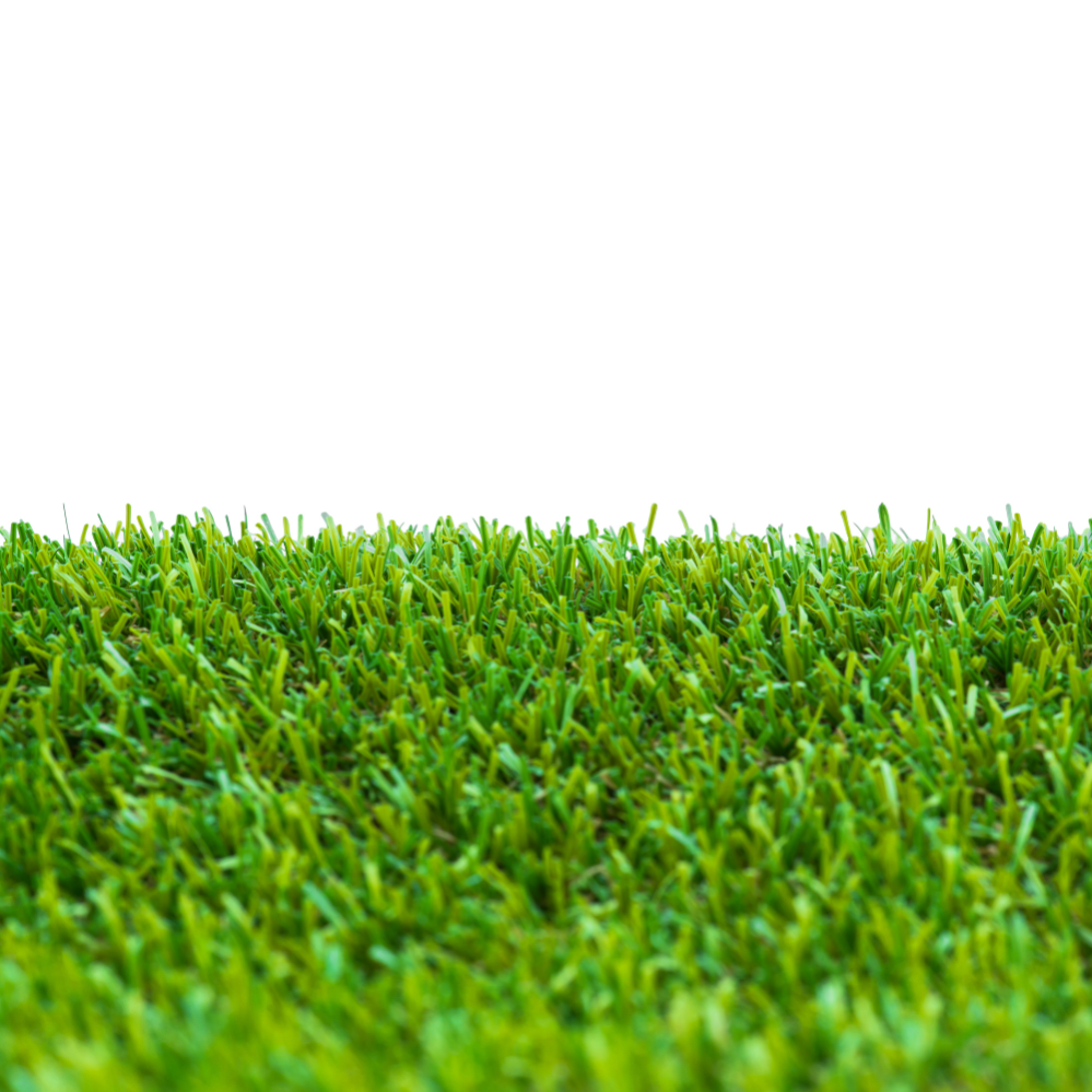 Acquaverde Prato Sintetico 7 mm Erba Finta Tappeto Manto per Giardino ...