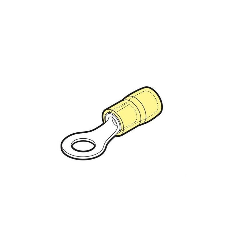 Terminal redondo GKY-M8 4-6 borne 8 - CEMBRE | Leroy Merlin