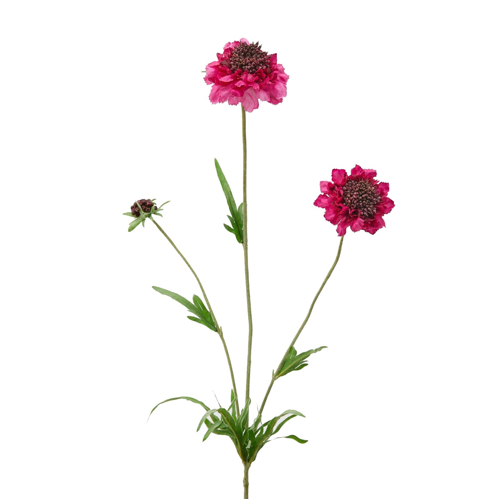 Fiore artificiale "Scabiosa Rex" h 65 cm effetto realistico con stelo e ...