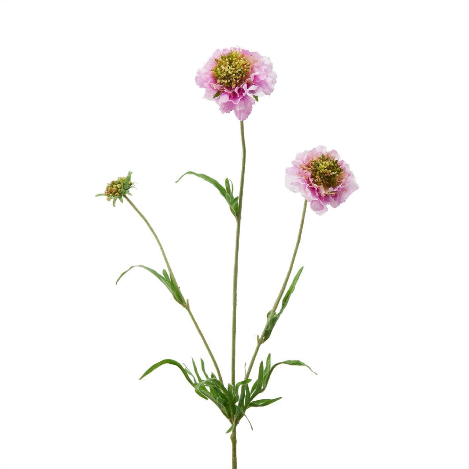 Fiore artificiale "Scabiosa Rex" h 65 cm effetto realistico con stelo e ...