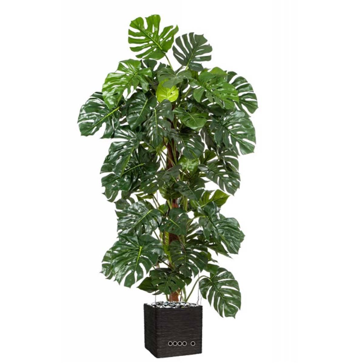 Monstera artificiel, sur pied, en, pot H 190 cm | Leroy Merlin