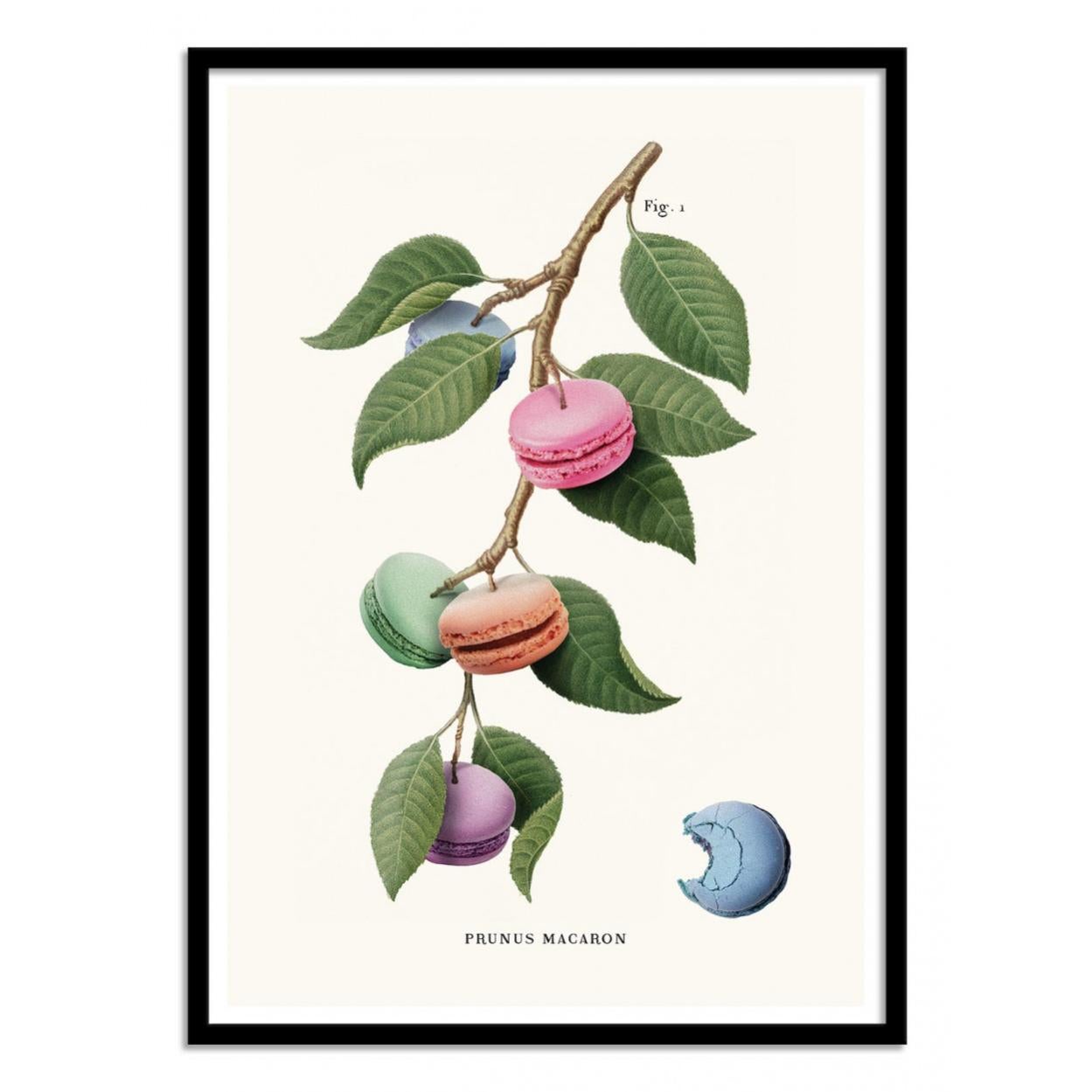 Affiche d’art et cadre noir 30 x 40 cm - Macaron plant - Jonas Loose ...