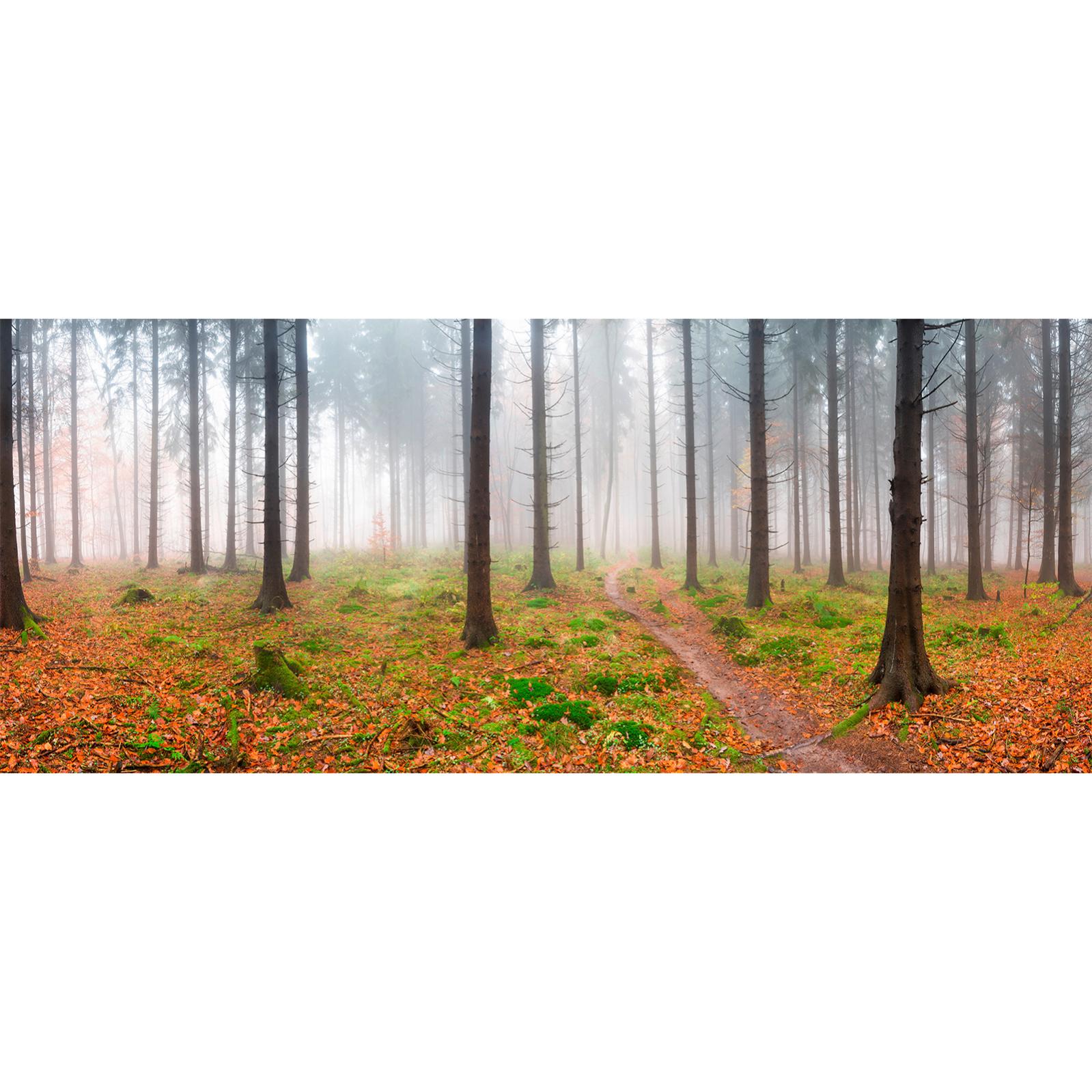 Papier peint panoramique forêt vert & orange Tapisserie panoramique ...