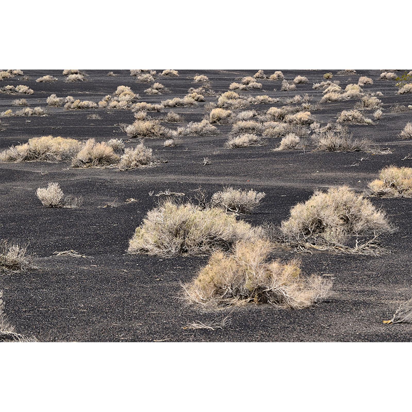 Papier peint panoramique nature désert américain Tapisserie panoramique ...