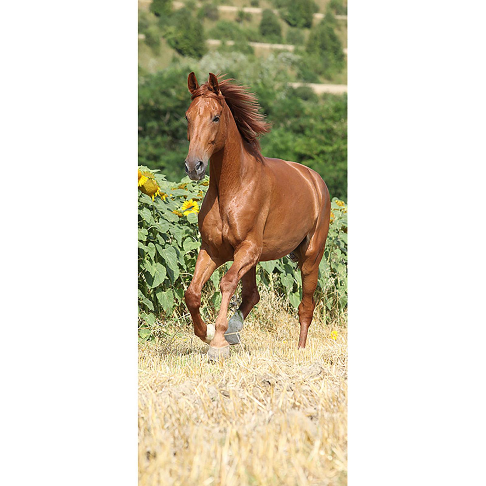 Stickers de porte cheval idéal chambreStickers cheveux pour porte ...