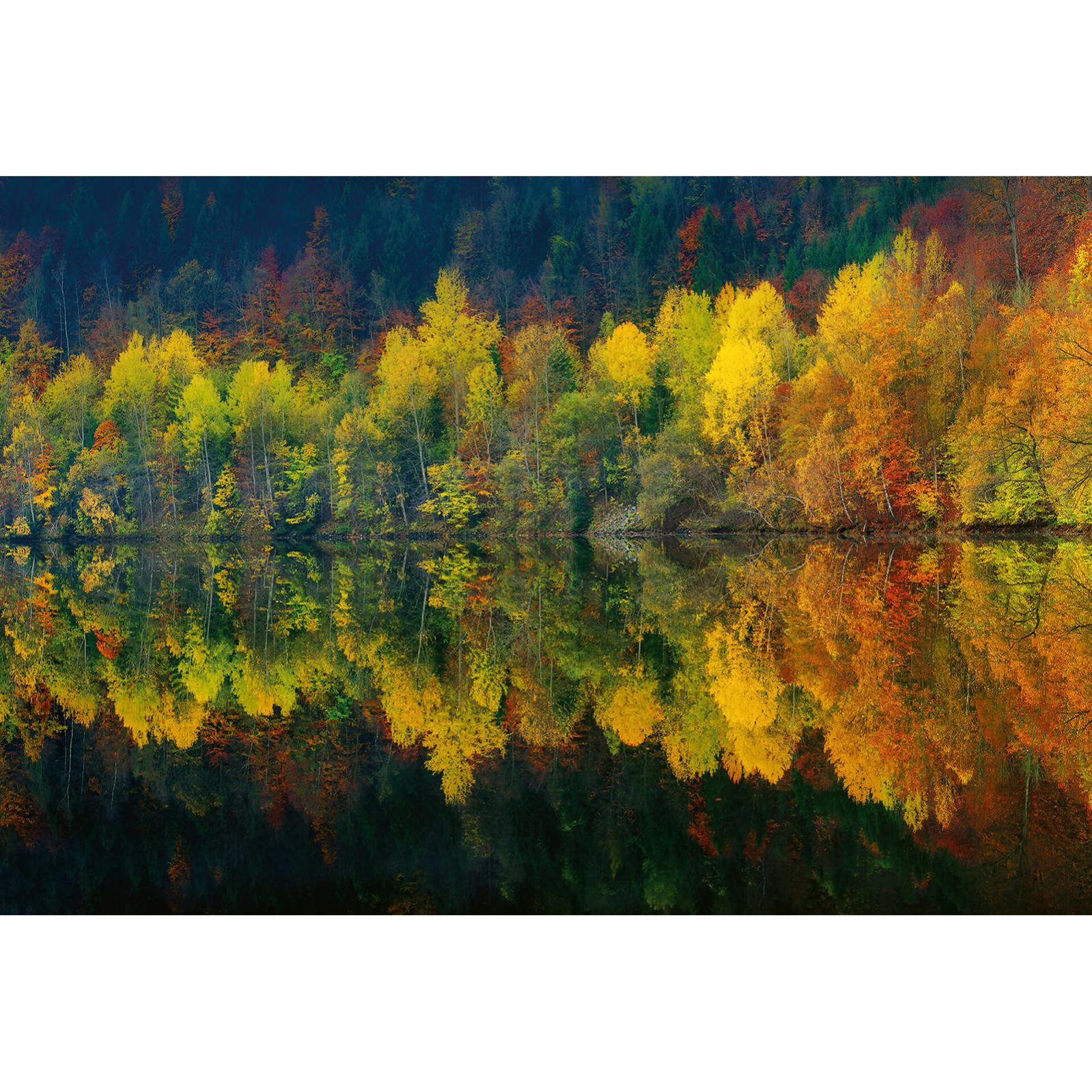 Papier peint panoramique automne pour salon Tapisserie panoramique ...