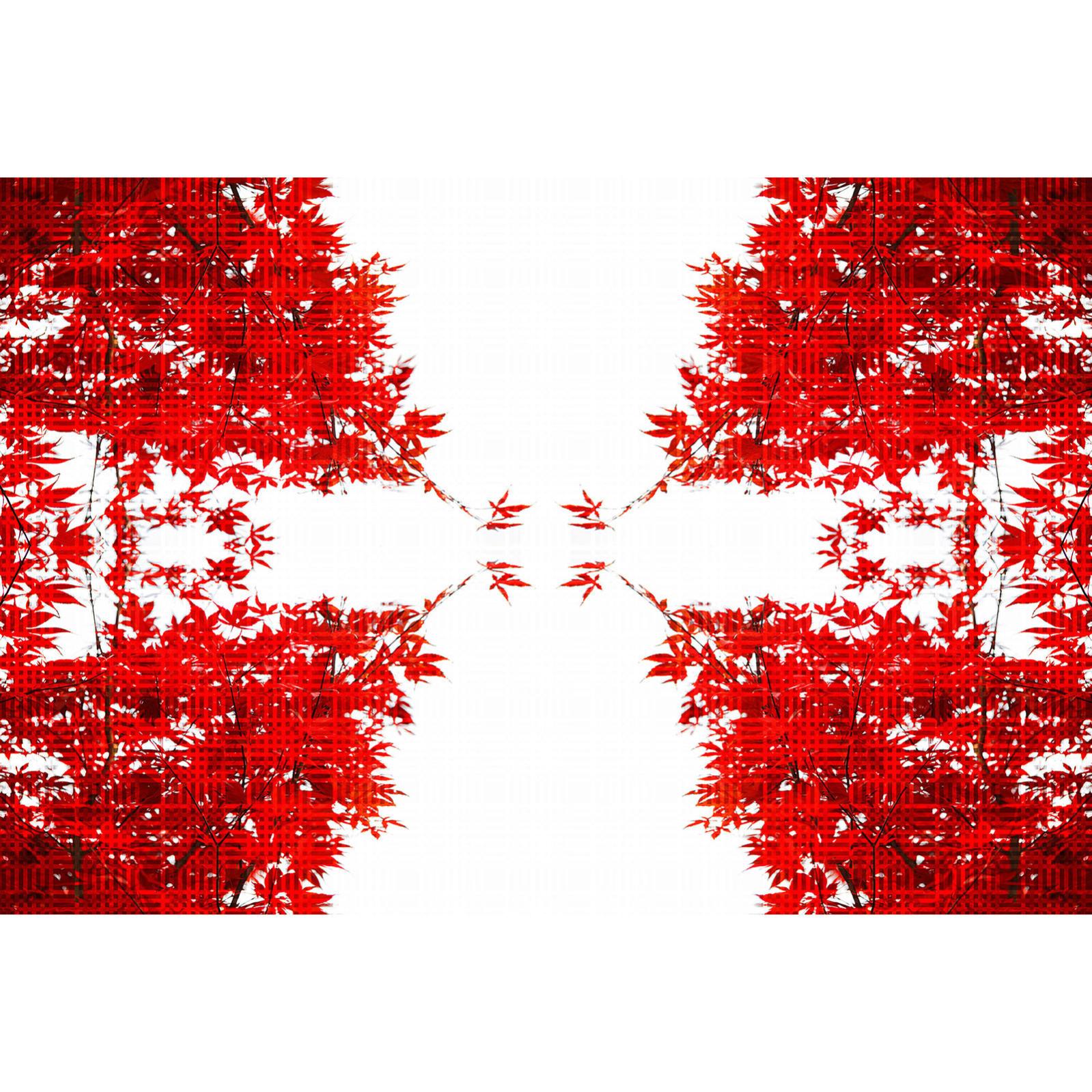 Papier peint panoramique effet graphique Tapisserie panoramique arbre ...