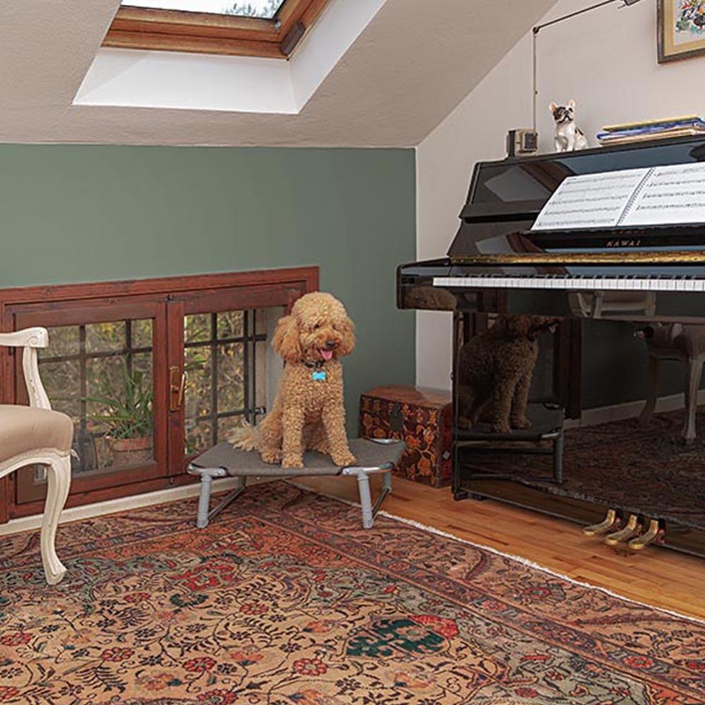 Lit pliant pour Chiens DREAM 60 avec Structure en Aluminium et ...