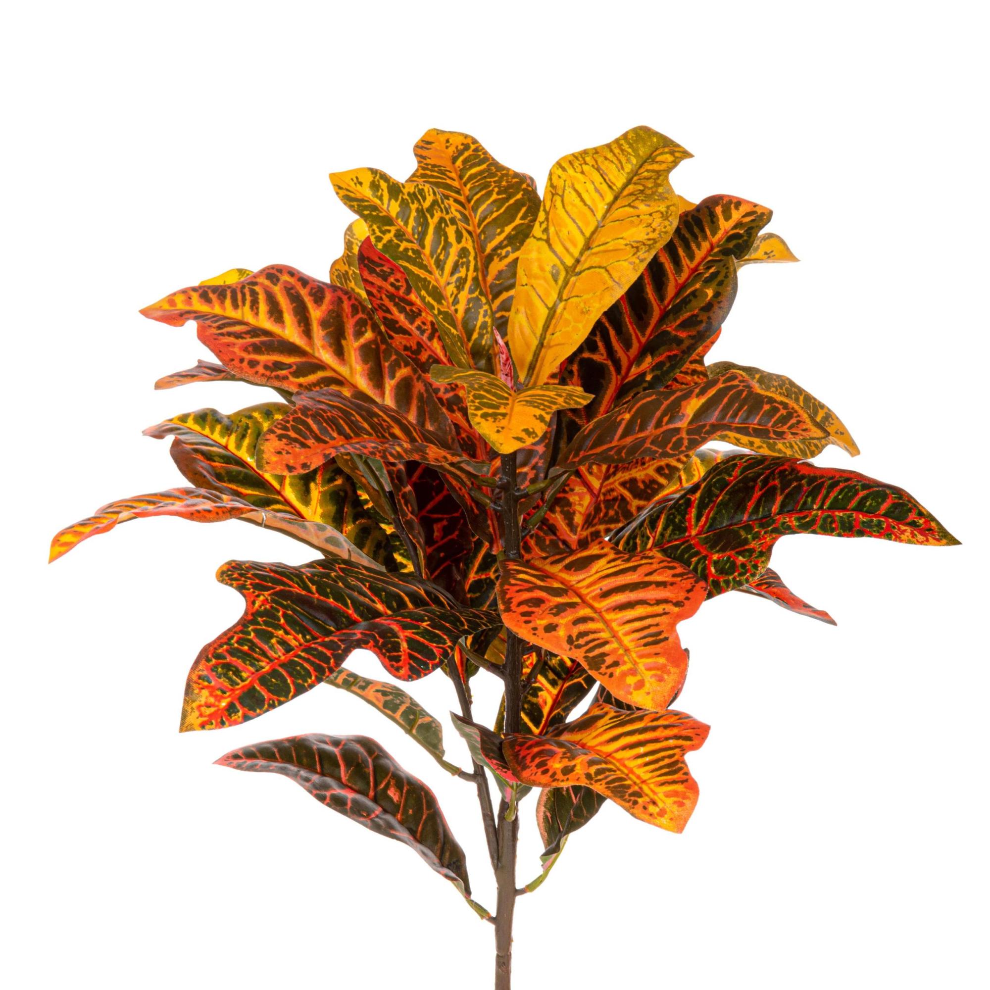 Set 2 Croton Pianta Artificiale Altezza 60 cm Arancio | Leroy Merlin