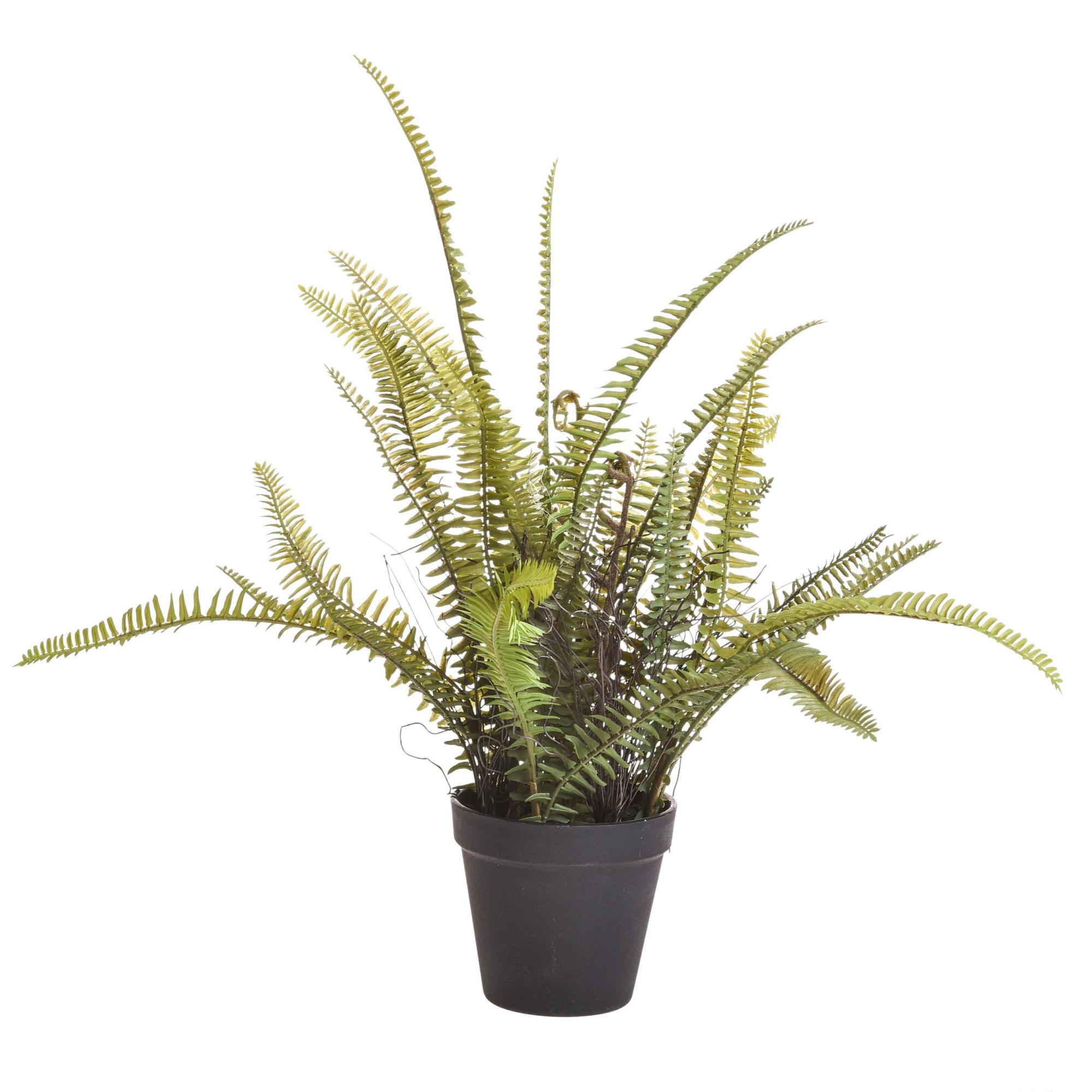 Felce Boston Artificiale con Vaso Altezza 61 cm Verde | Leroy Merlin