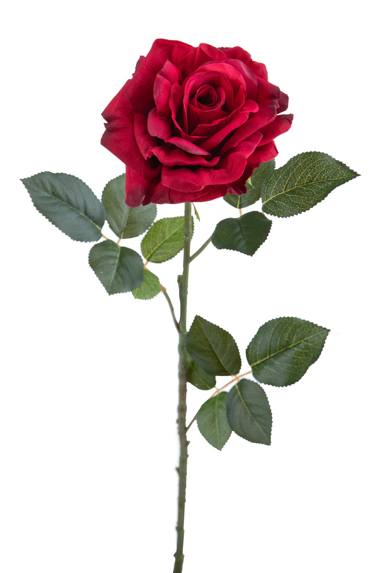 Set 6 Rose Artificiali Aperta Altezza 65 cm Rosso | Leroy Merlin