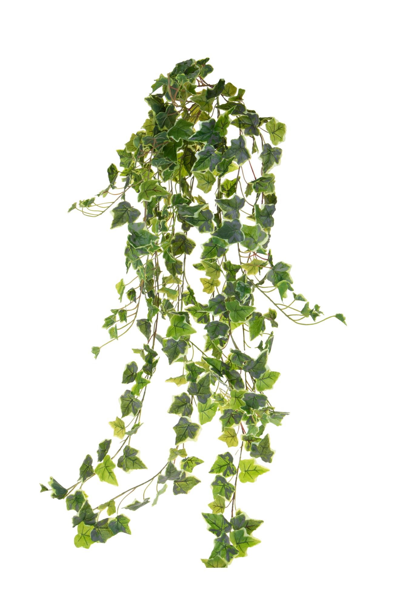 Foglie Artificiali Edera Rampicante Real Touch 175 cm | Leroy Merlin