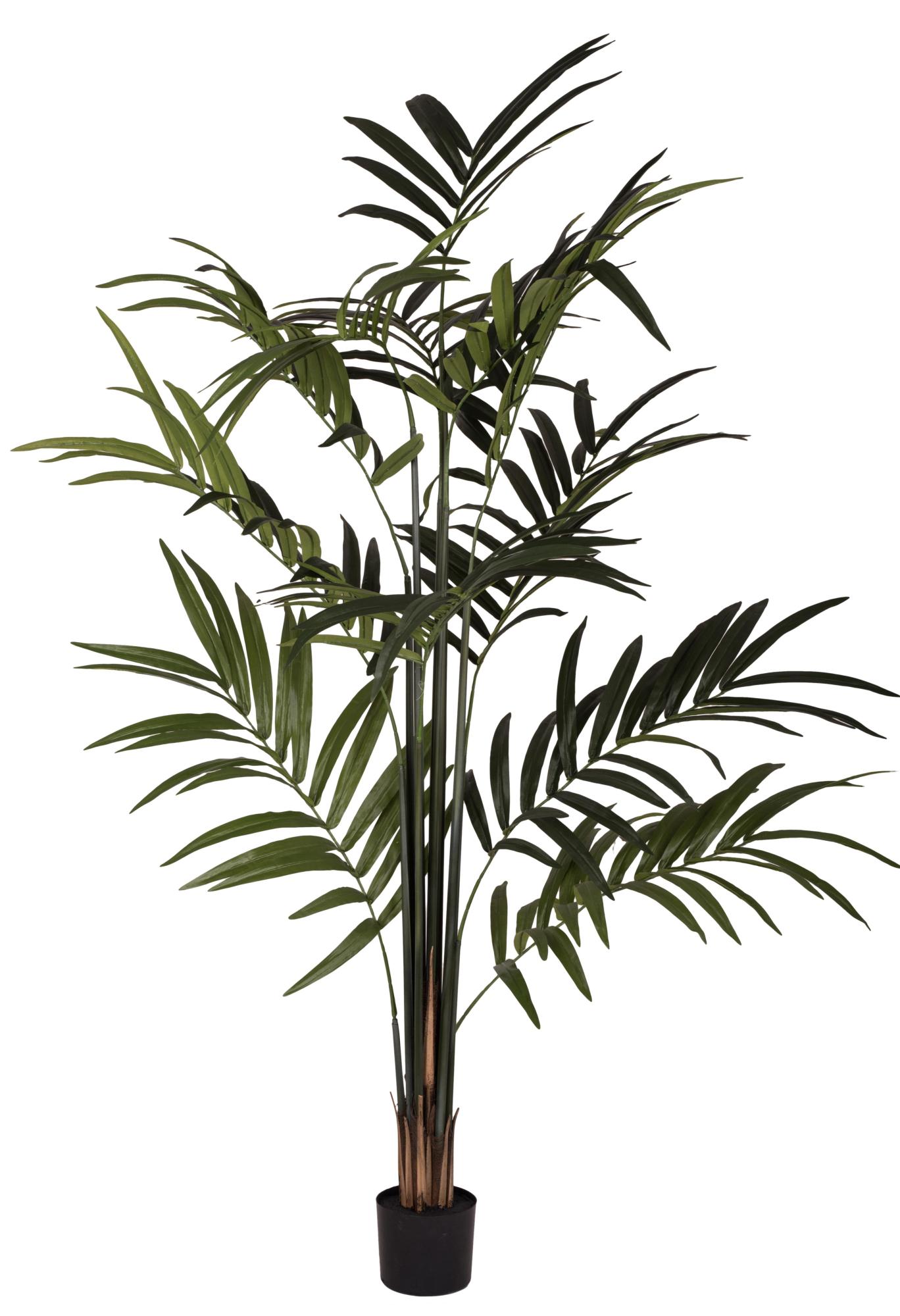 Pianta Artificiale Kenzia con Vaso H 240 cm | Leroy Merlin
