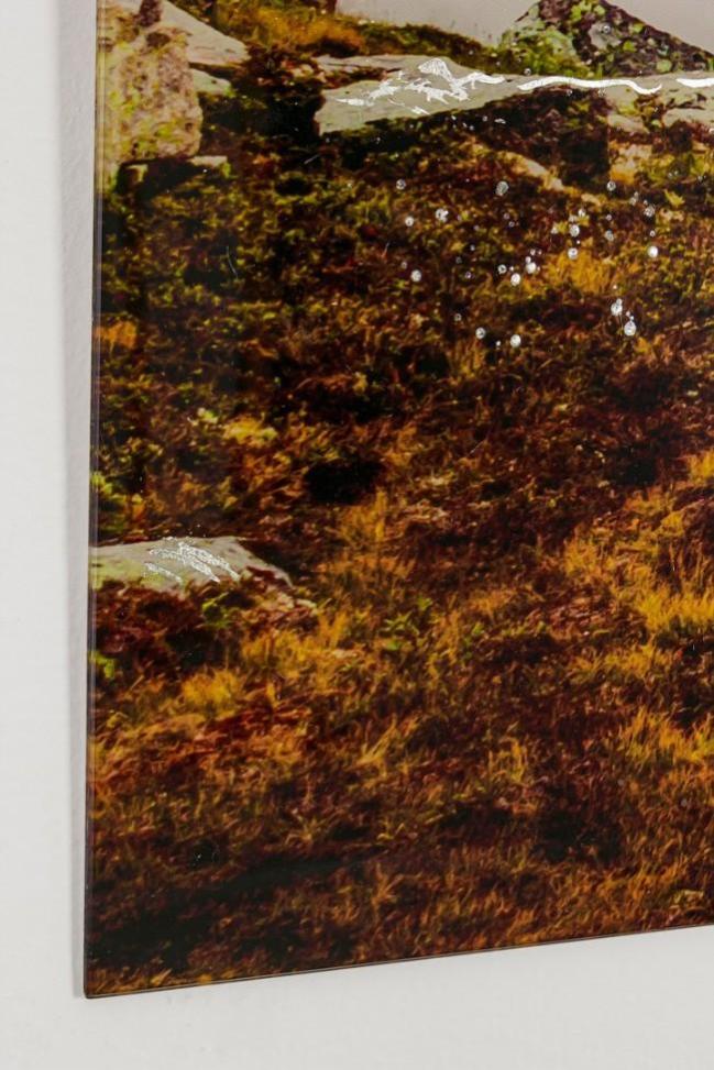 Dipinto Plexy 438 120x80 cm in Plexiglass | Leroy Merlin