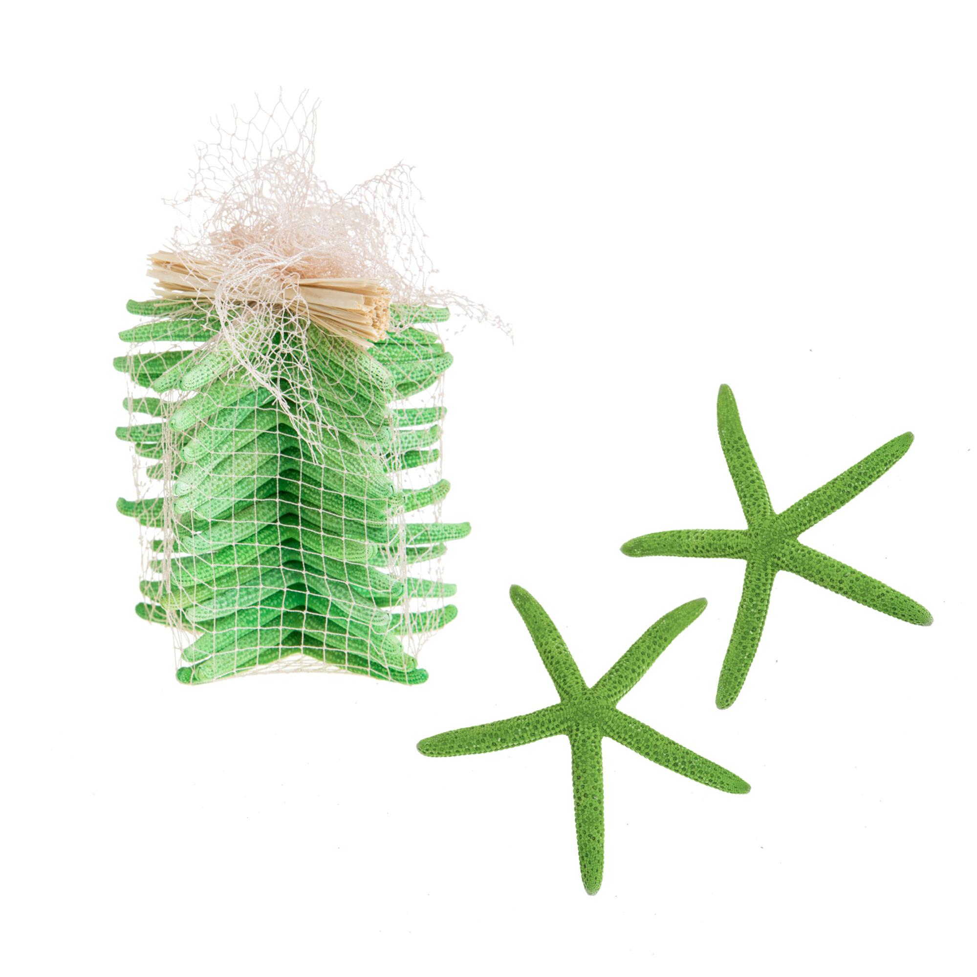 Set 30 Stelle Linckia Levigate 7x9 cm | Leroy Merlin