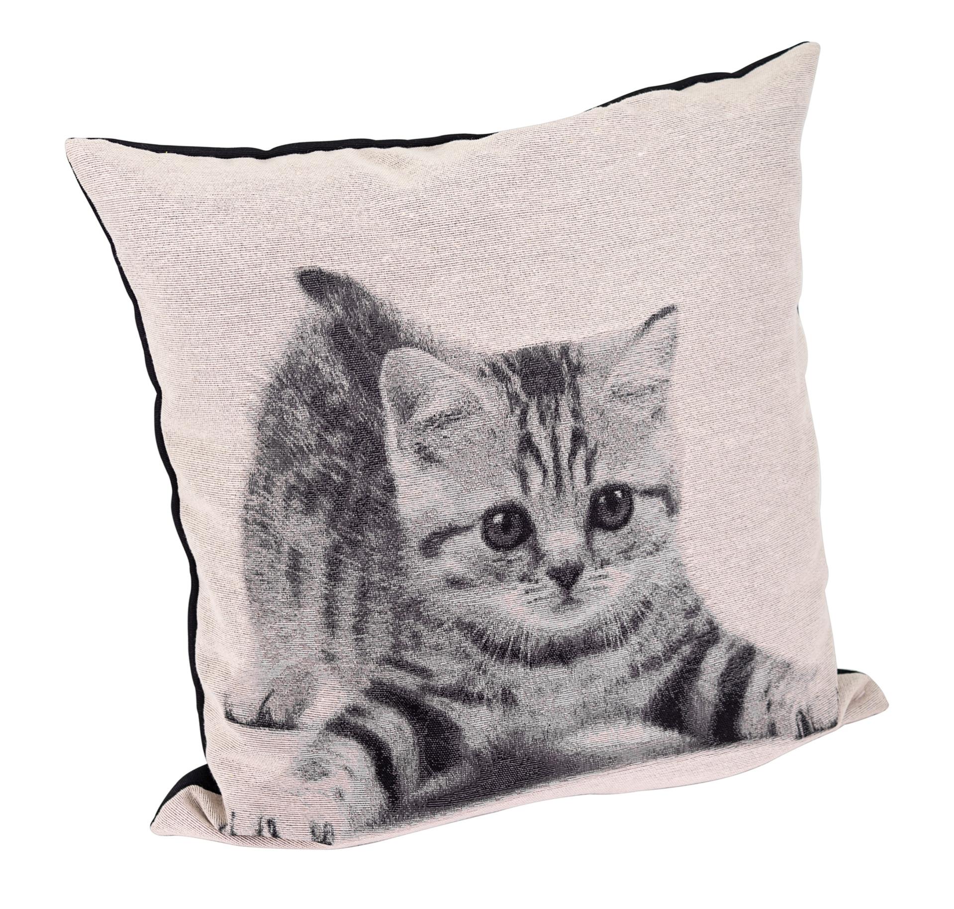 Coussin chat rigolo déhoussable 45X45 | Leroy Merlin
