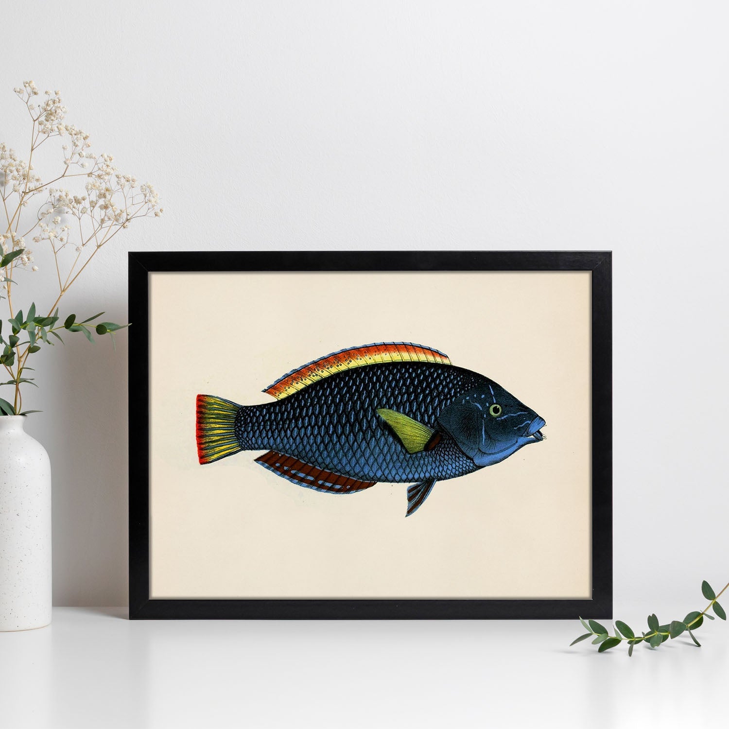 Fiche De Poisson Bleu Rouge Et Jaune Dans Le Fond En Papier Vintage