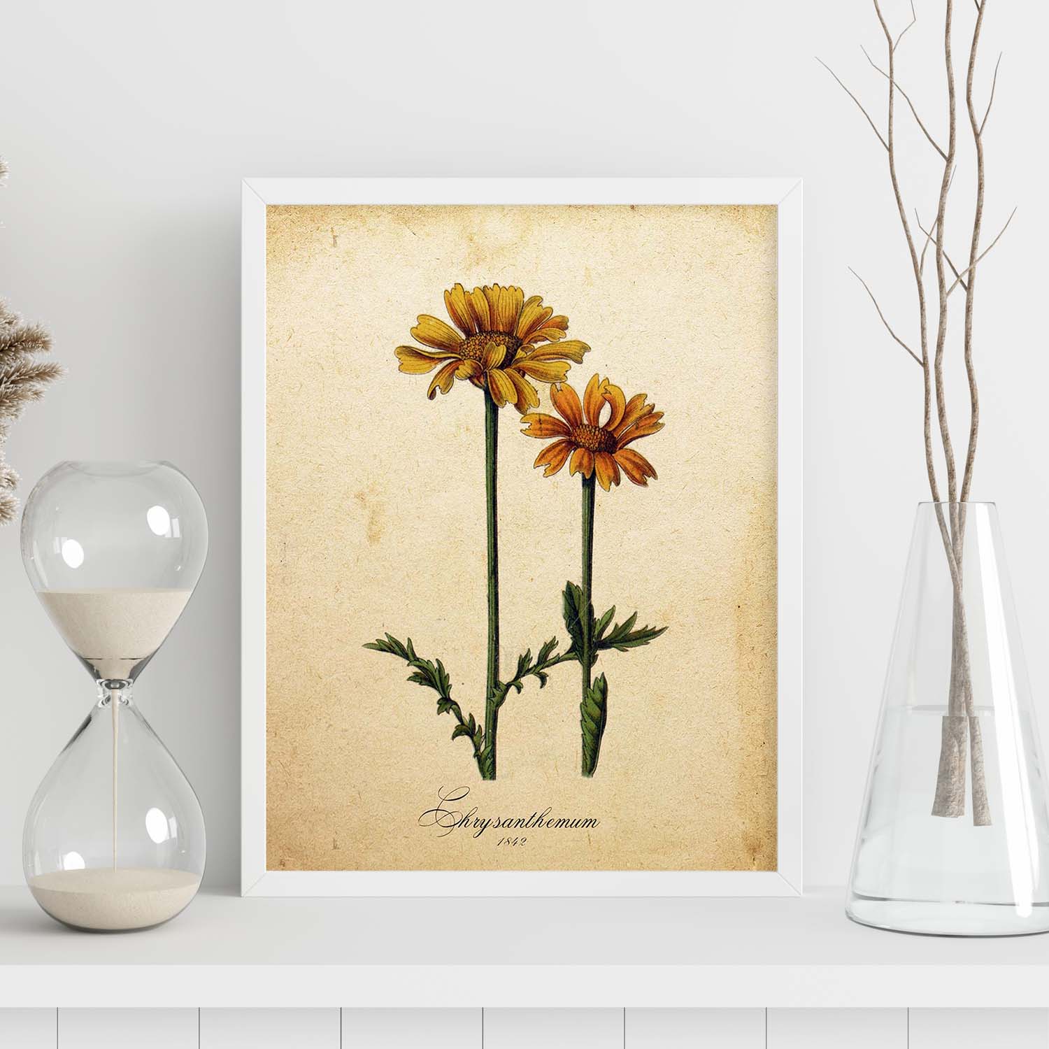 Affiche De Fleurs Vintage. Chrysanthemum Lame Avec Design Vintage. A4 ...