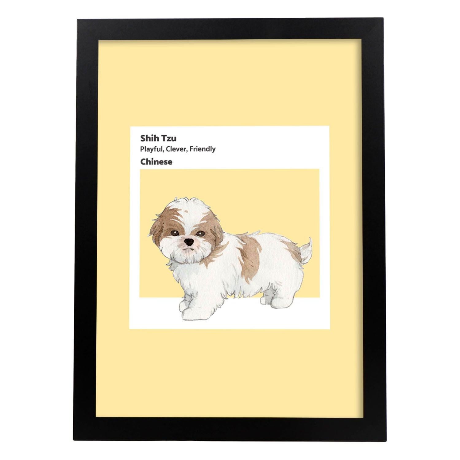 Shih-tzu Lame. Affiches Avec Des Illustrations De Races De Chiens Dans ...