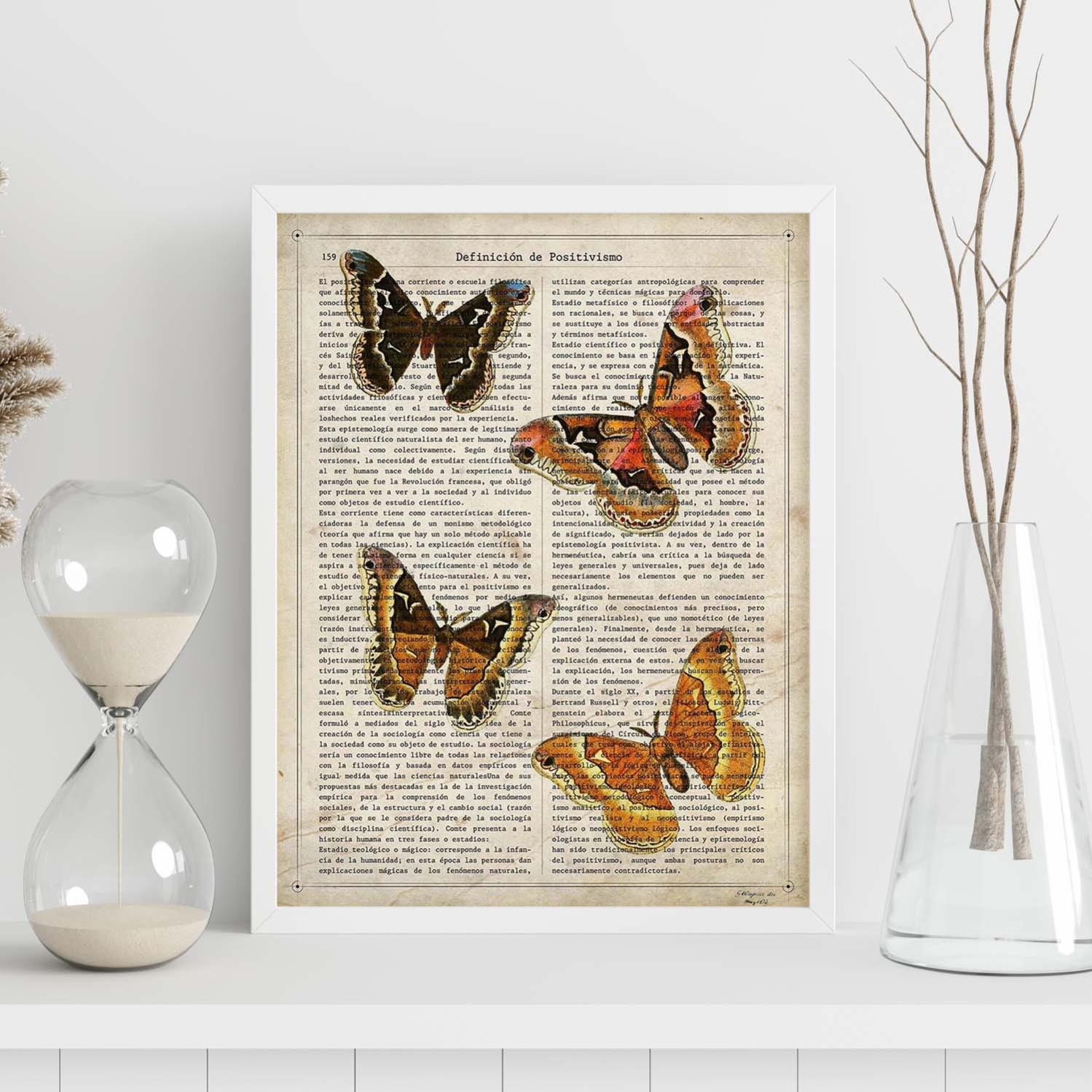 Quatre Affiches De Papillons. Papillons. Décoration Des Papillons Et ...