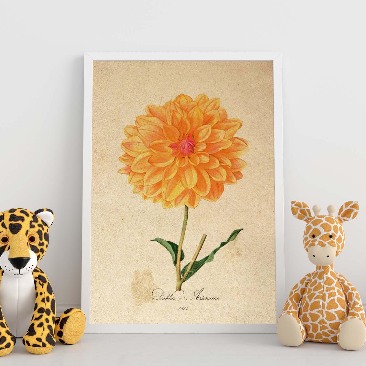 Affiche De Fleurs Vintage. Dahlia Orange Dahlia Avec Design Vintage. A4 ...