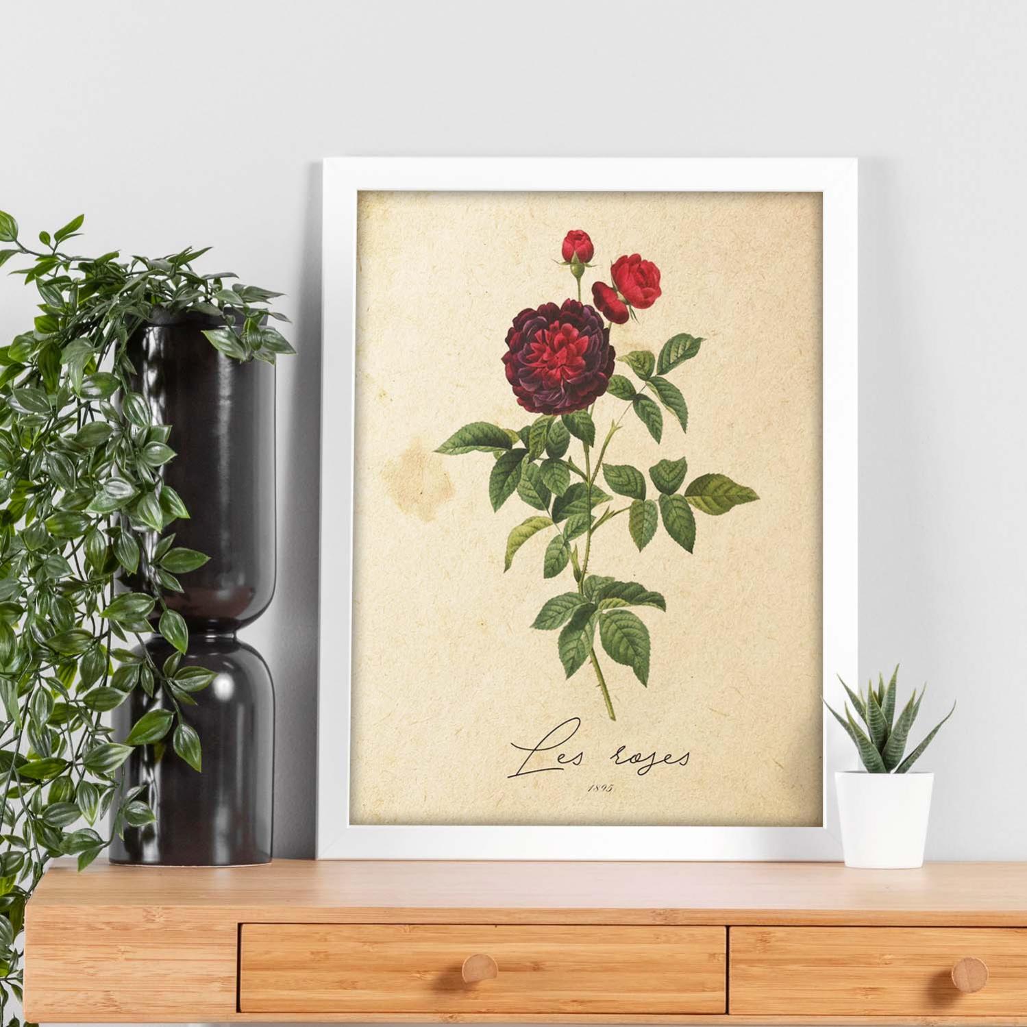 Affiche De Fleurs Vintage. Les Roses 2 Avec Conception Vintage. A4 Sans ...