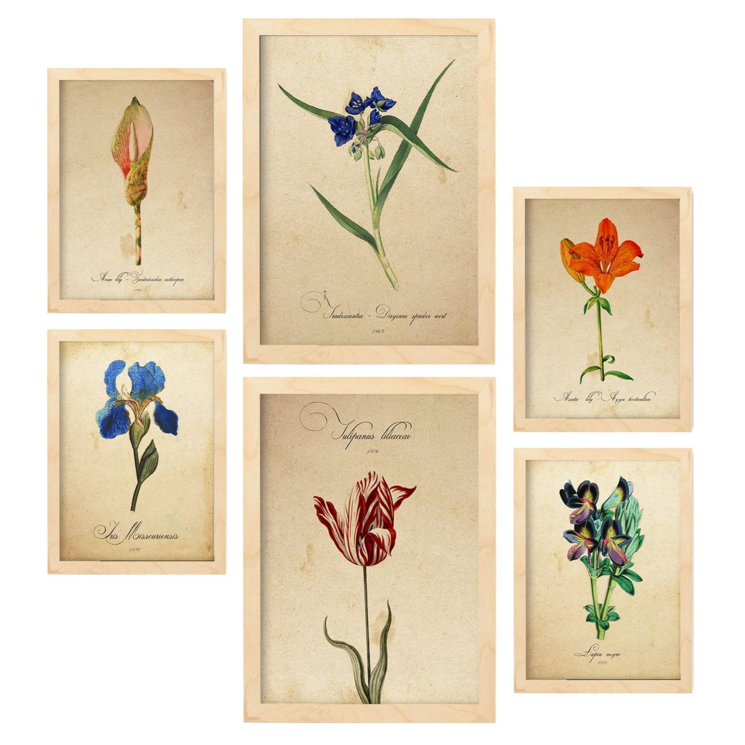 Nacnic Botanica Bleu Rouge Esthétique Des Impressions D'art Mural Pour ...