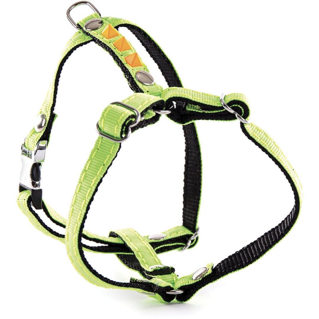 Harnais Fluo Color Alter Ego en nylon pour chiens | Leroy Merlin