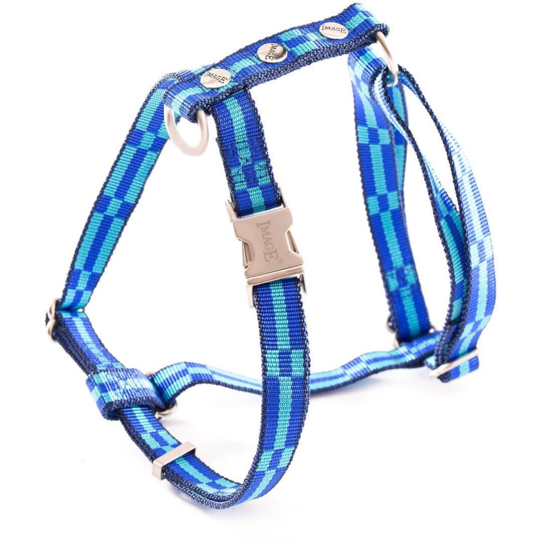 Harnais en nylon pour chiens Martin Sellier | Collection Dream | Leroy ...