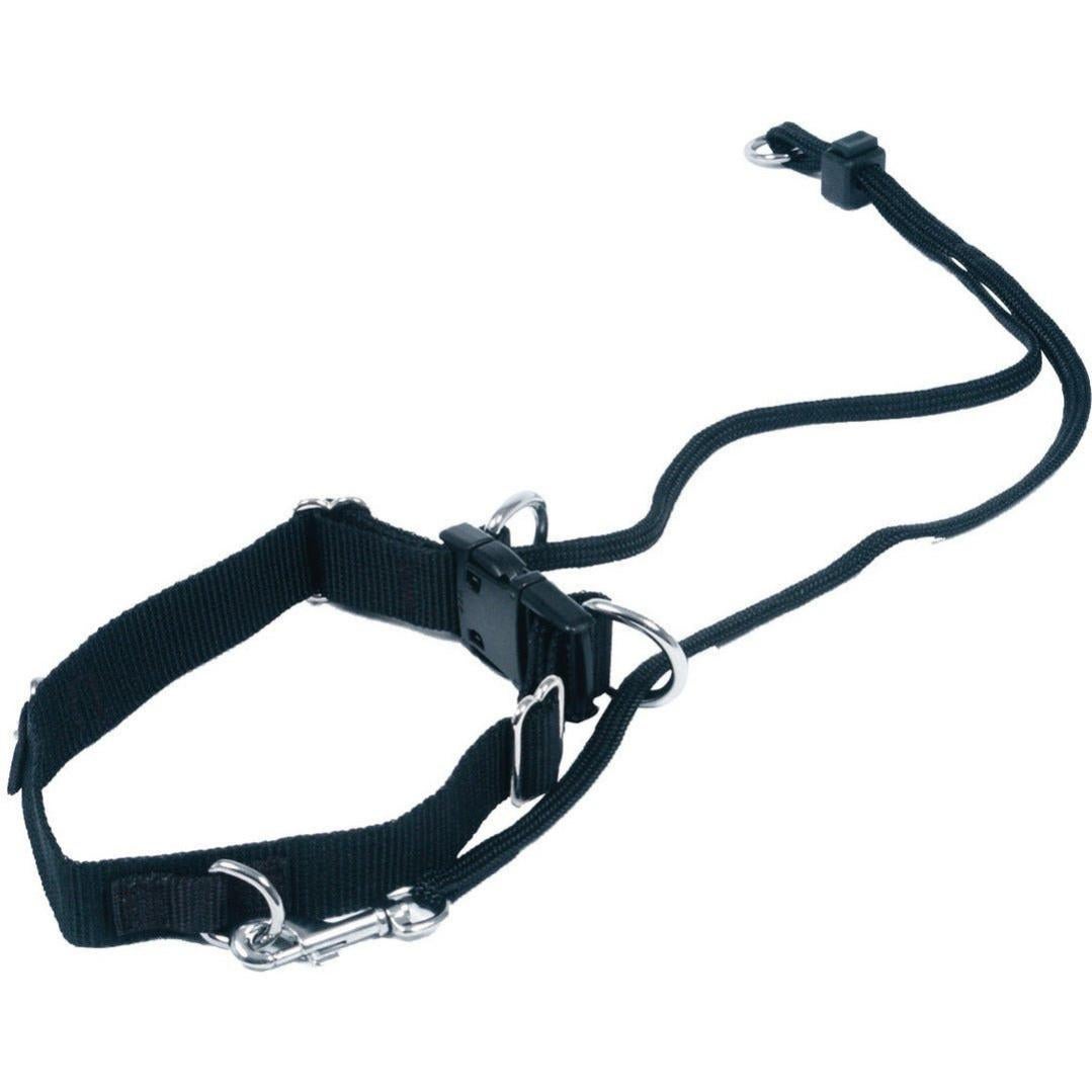 Harnais de Marche pour Chiens Martin Sellier | Leroy Merlin