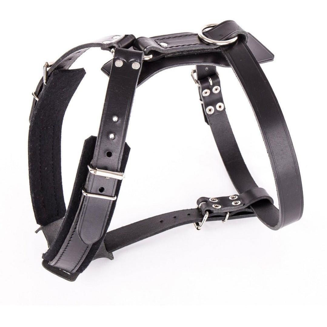 Harnais pour chien en cuir pleine fleur noir Martin Sellier | Leroy Merlin