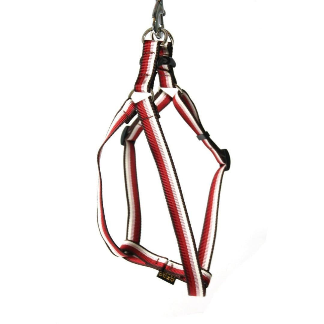 Harnais pour chiens en nylon de qualité - Collection Baya by Martin ...