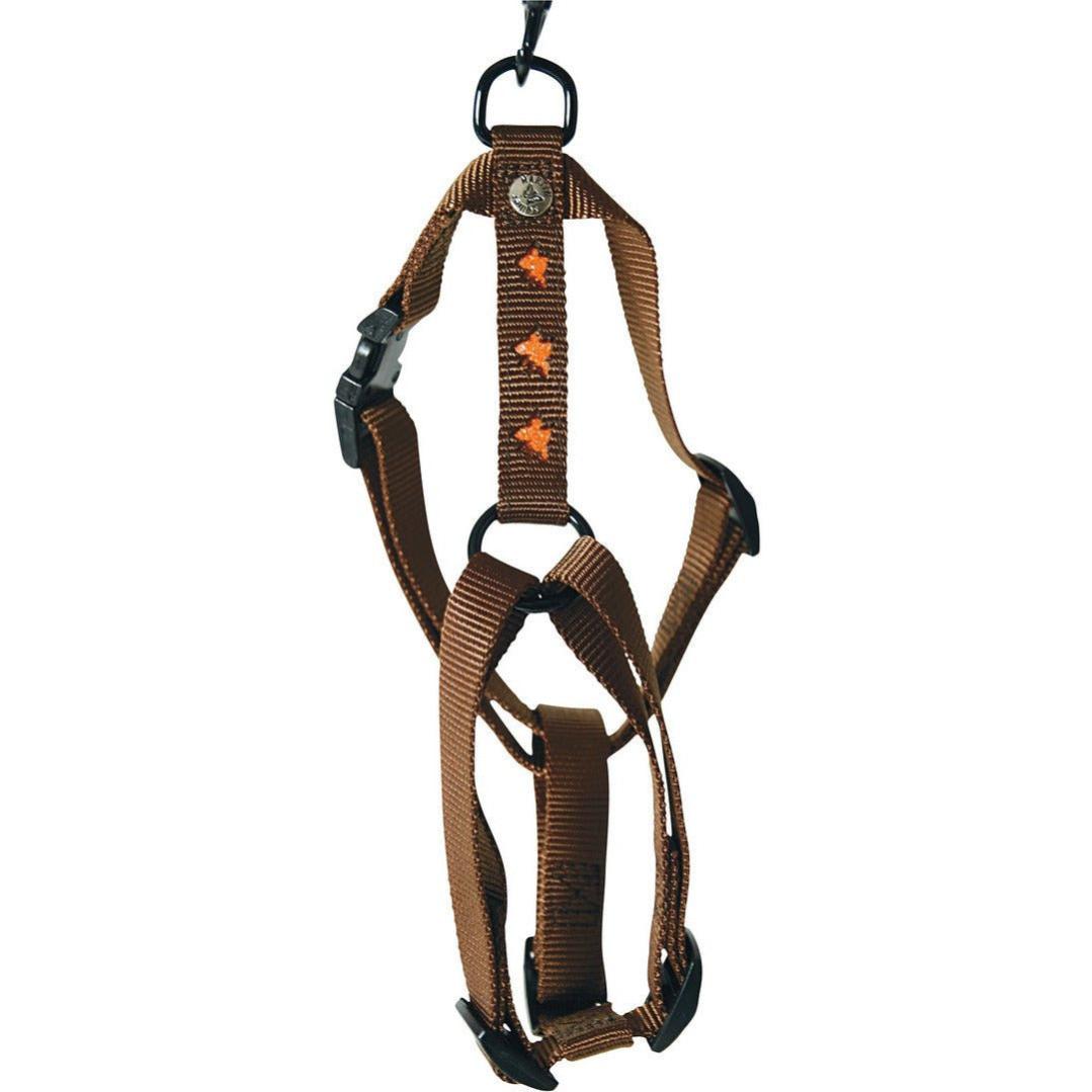 Harnais pour Chiens Martin Sellier - Collection Papillon Orange | Leroy ...
