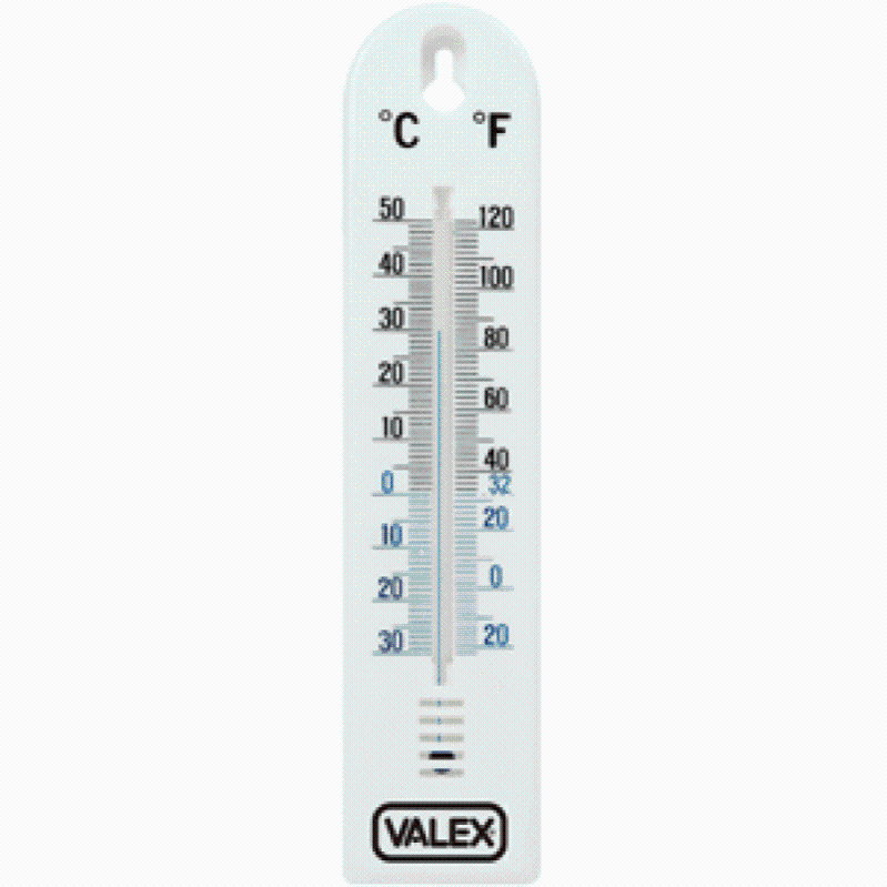 TERMOMETRO AD ALCOOL BASE IN PLAST. | Leroy Merlin