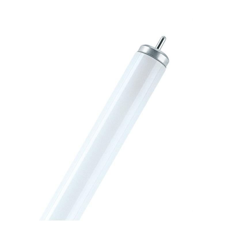 Tubo neon osram xl t12 40w luce naturale 640 | Leroy Merlin