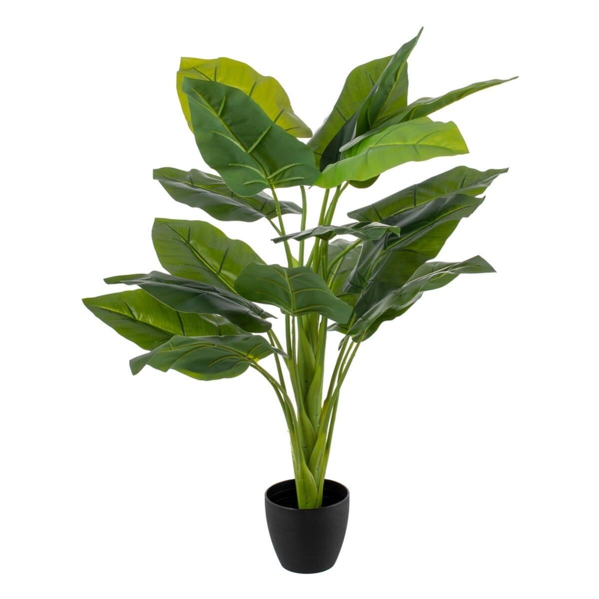 Pianta Decorativa Verde 95 cm Insenatura | Leroy Merlin