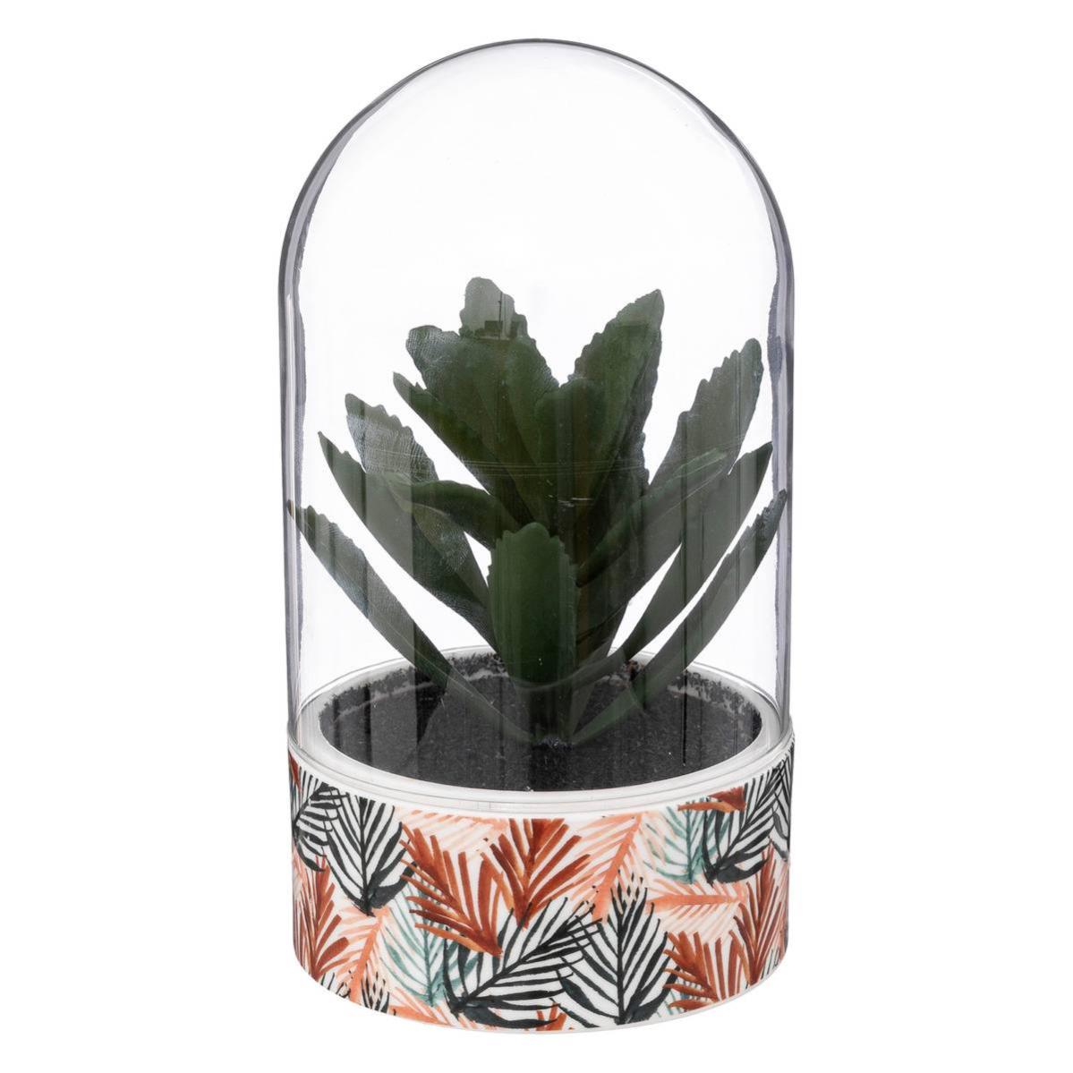 Plante sous cloche "Ali" - pot en céramique - H21 cm - Atmosphera ...