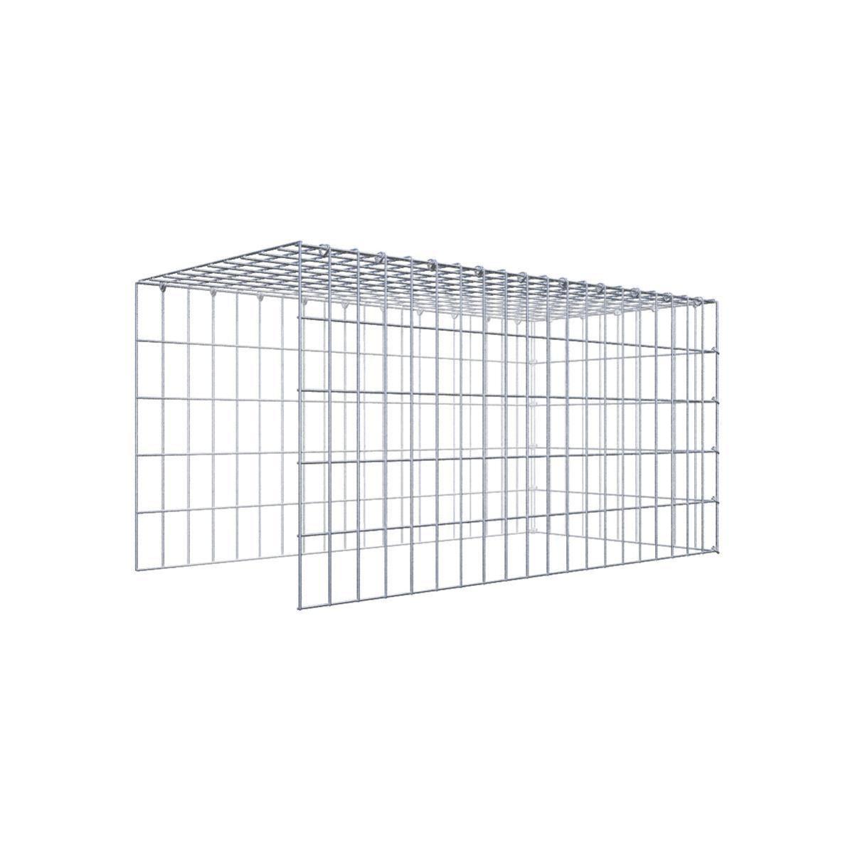 gabiona-gabion-monter-en-hauteur-et-en-longueur-100-cm-x-50-cm-x-50