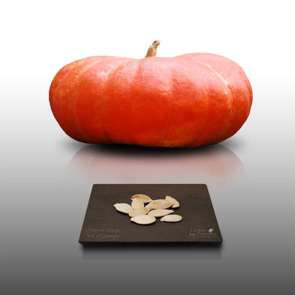 8 graines à semer - Le Grenier d'Abondance - POTIRON Rouge Vif d ...