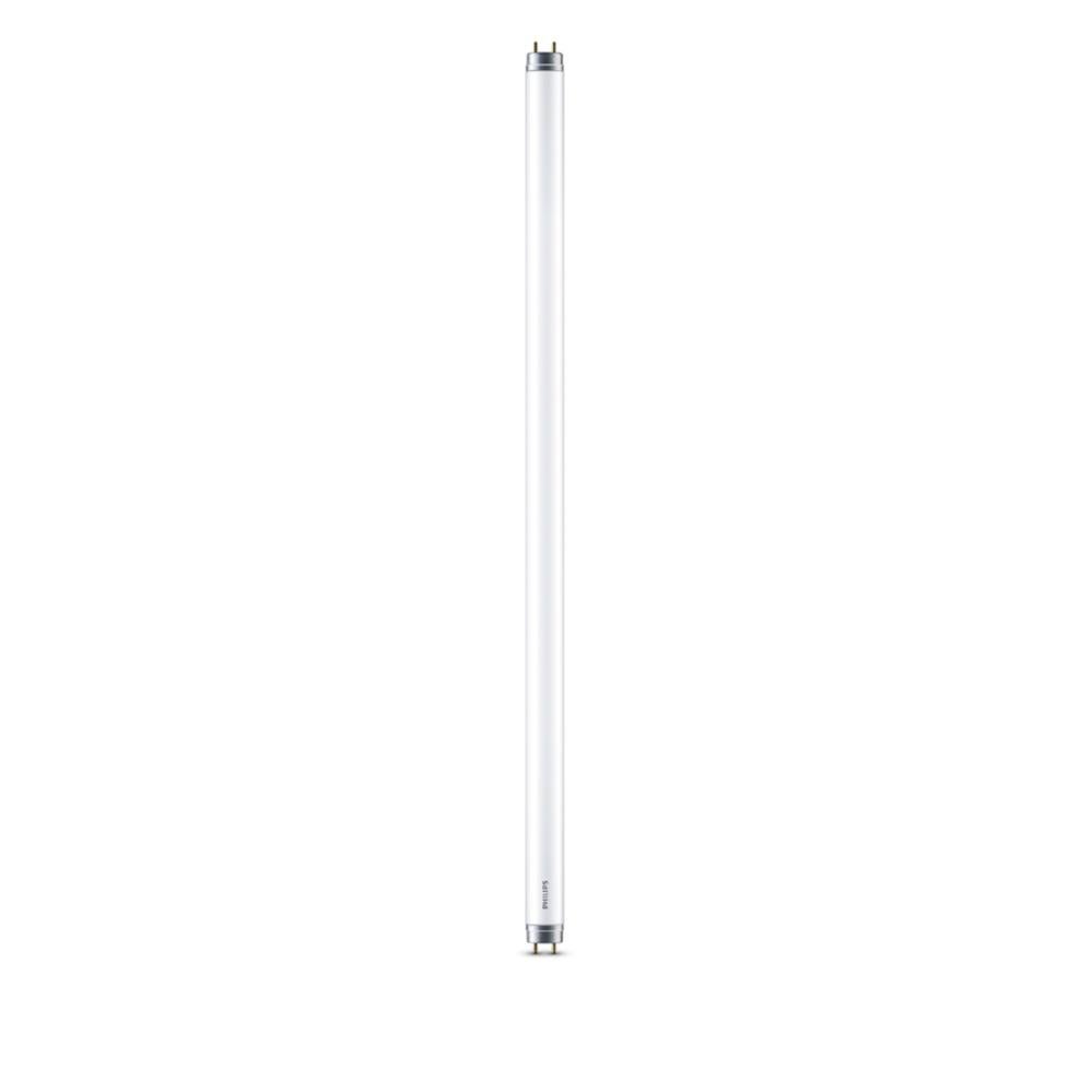 Tubo LED T8 8W 800lm 600mm G13 6.500K luce fredda PHILIPS | Leroy Merlin