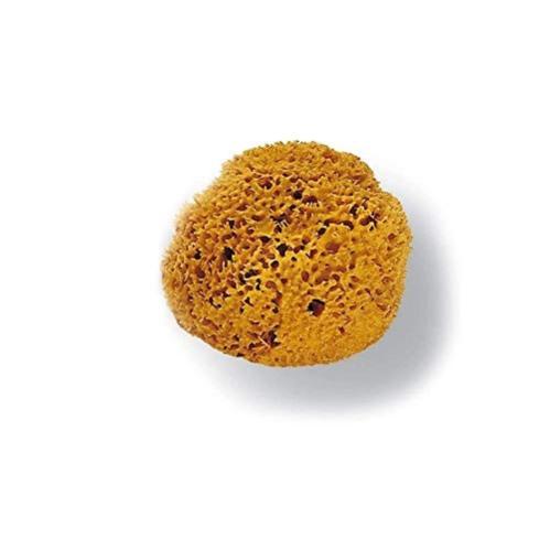 SPUGNA MARINA DECORATIVA PITTURA IDROPITTURA PITTORE EFFETTI | Leroy Merlin