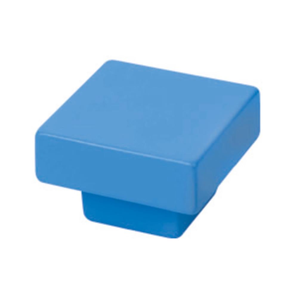 POMOLO IN ABS 30X30 MM VERNICIATO BLU, LOTTO DA 36 | Leroy Merlin