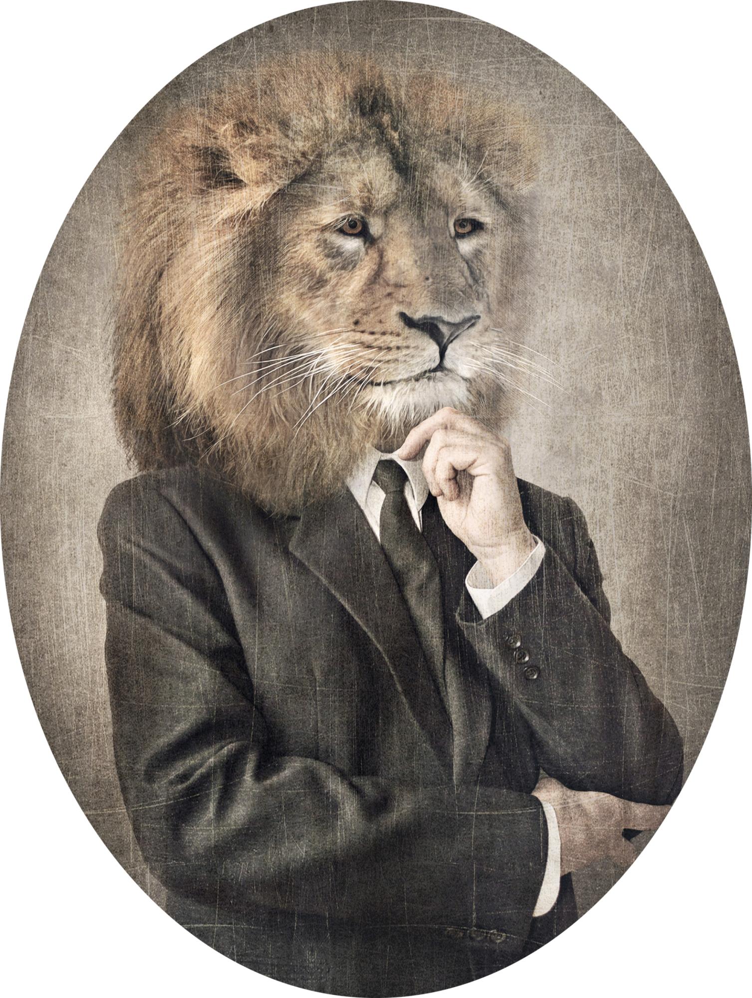 Sticker adhesivo León 49x65 | Leroy Merlin