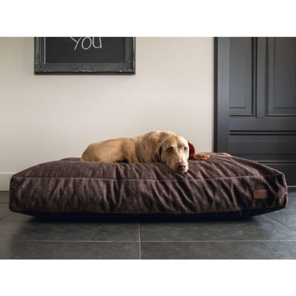 Designed by Lotte Coussin pour chiens Unnay Marron 100x70x15 cm | Leroy ...