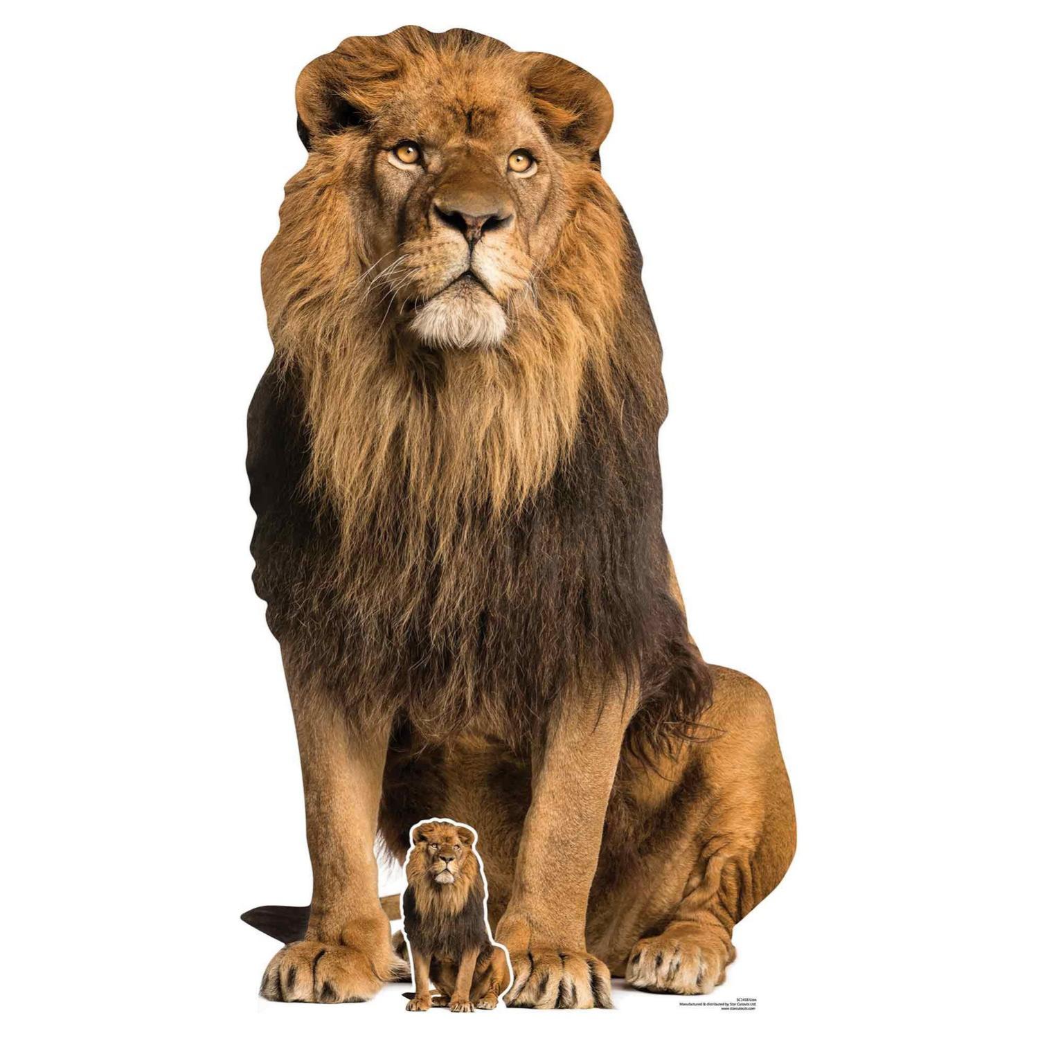 Figurine en carton taille réelle Le Lion assis H 155 CM | Leroy Merlin